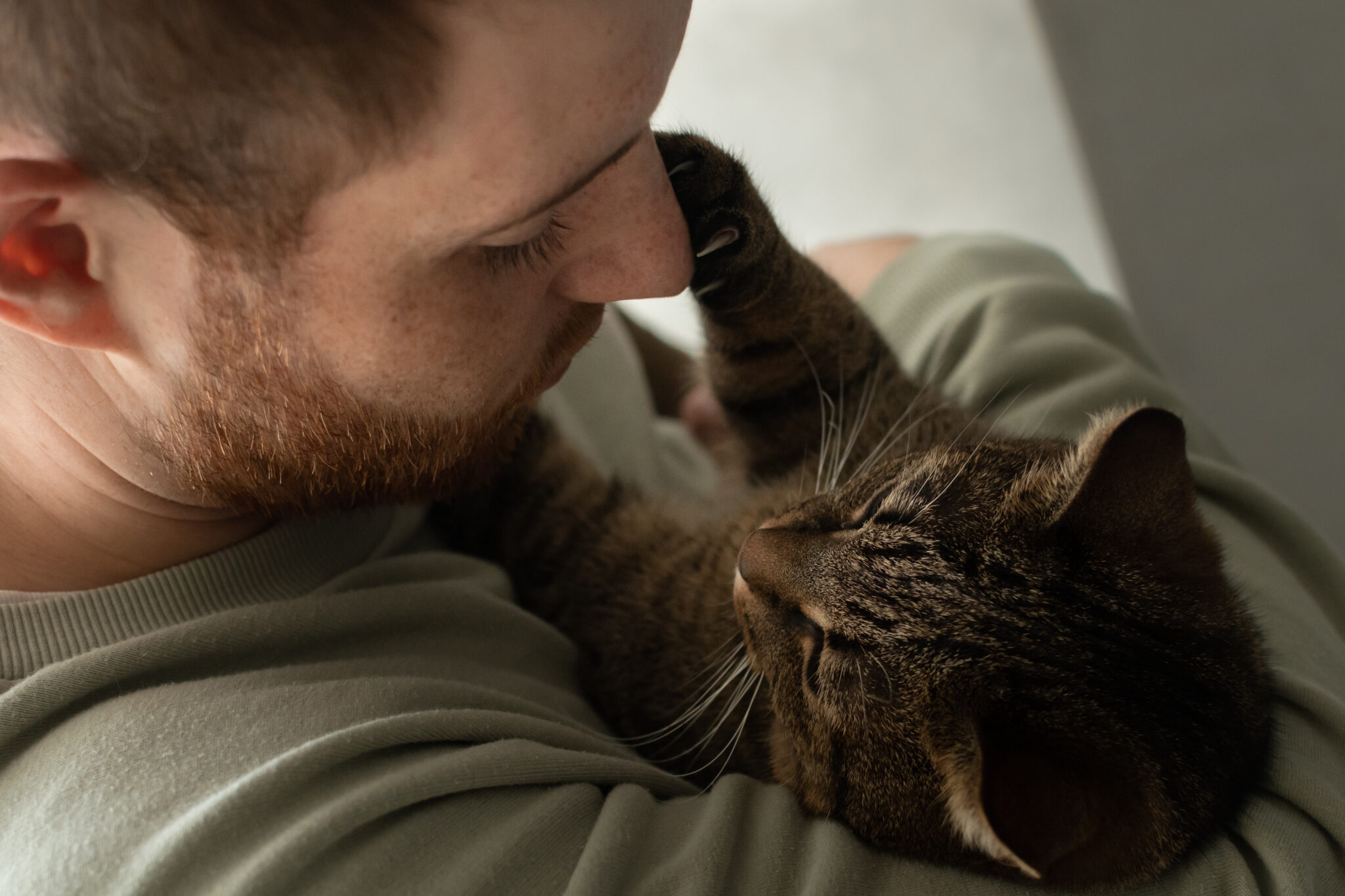 Cat Mouth Cancer Life Expectancy: When Should You Consider Euthanasia?